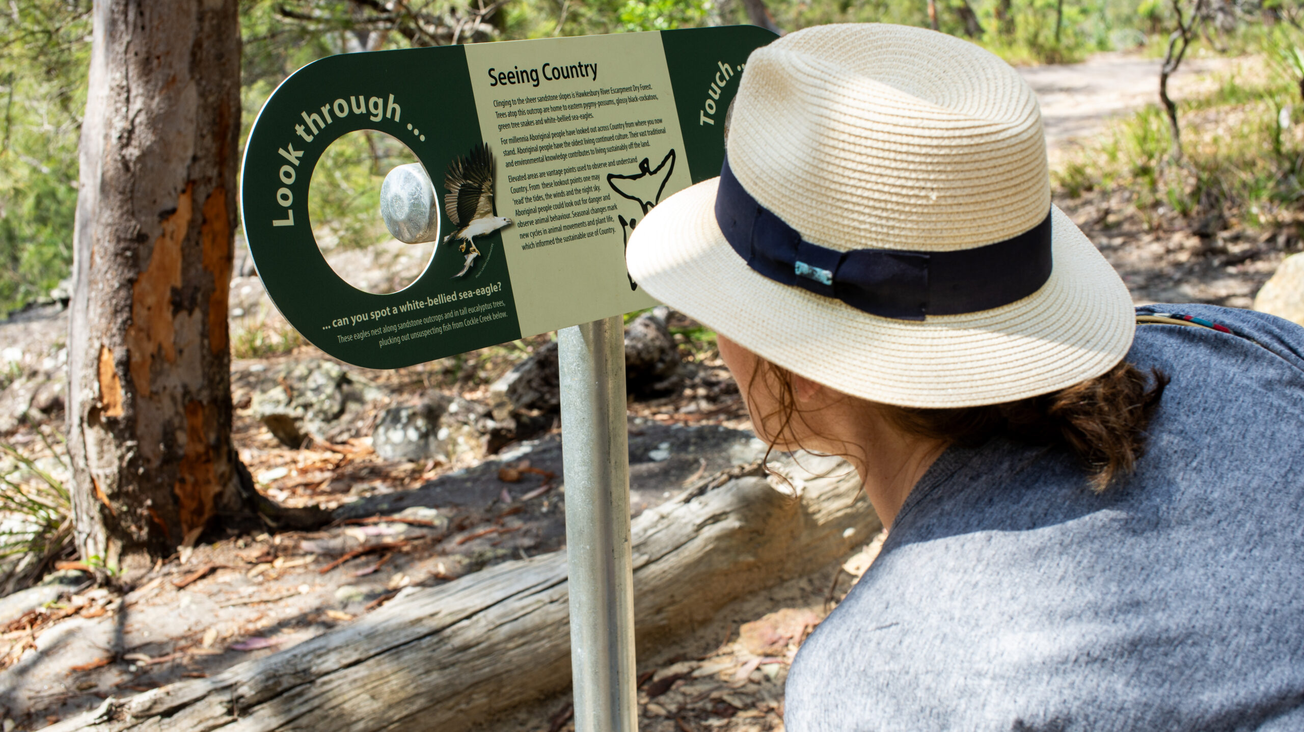 Ku-ring-gai Chase National Park Interpretation - GML